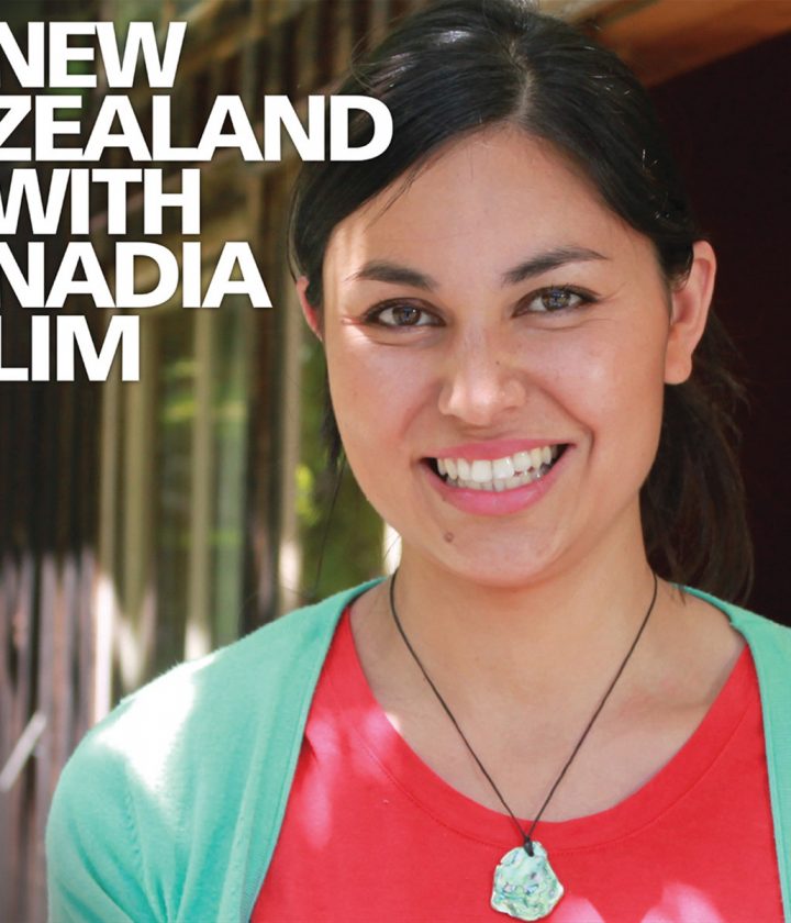 Treo Studios – For the Curious